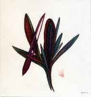 The Front Room | Brooklyn Gallery of Contemporary Art | Williamsburg ...